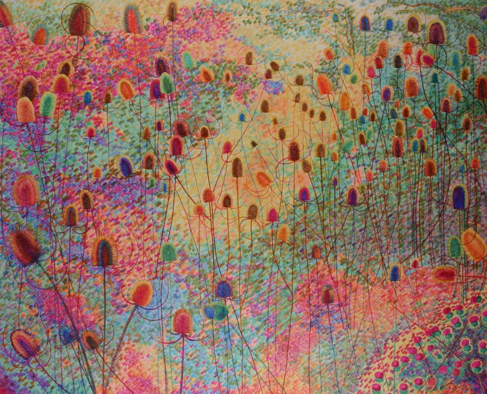 Field of thistles | Nicole Shaw